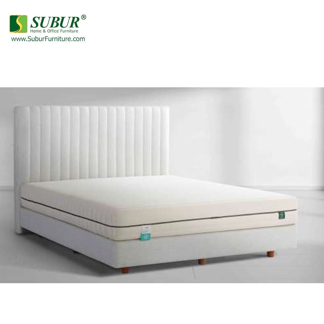 Springbed Alga tipe Latex Firm Termurah dan Tahan Lama